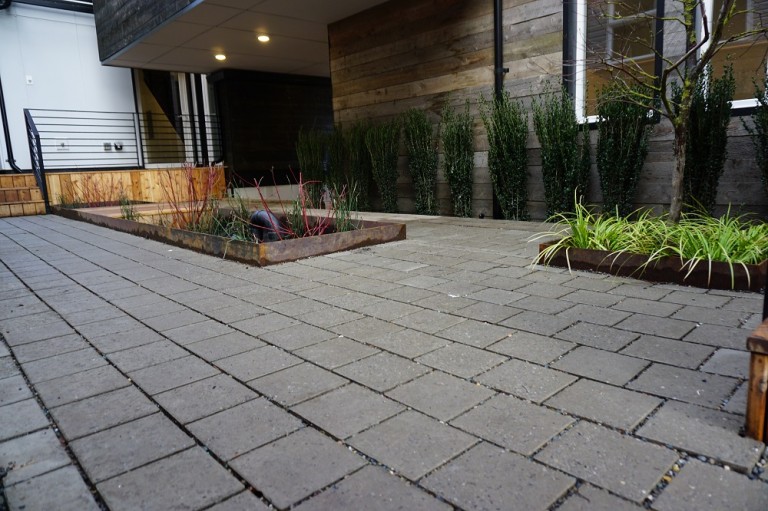 Permeable Pavers for Improved Drainage and Aesthetics | True Scape Design